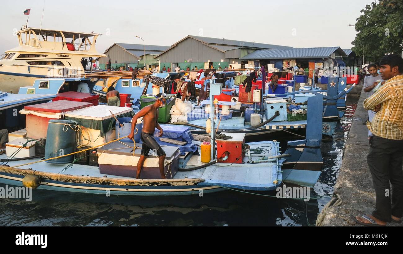 Squeezed colorful fishing boats lie in the fishing port of Male. (25 ...