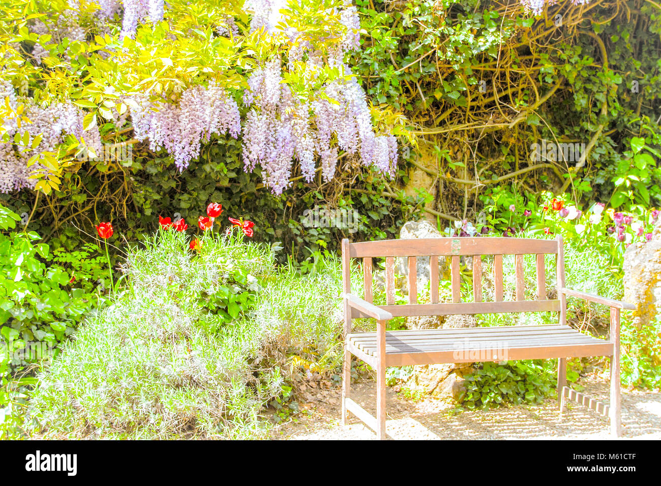 Bench surrounded flowers hi-res stock photography and images - Alamy