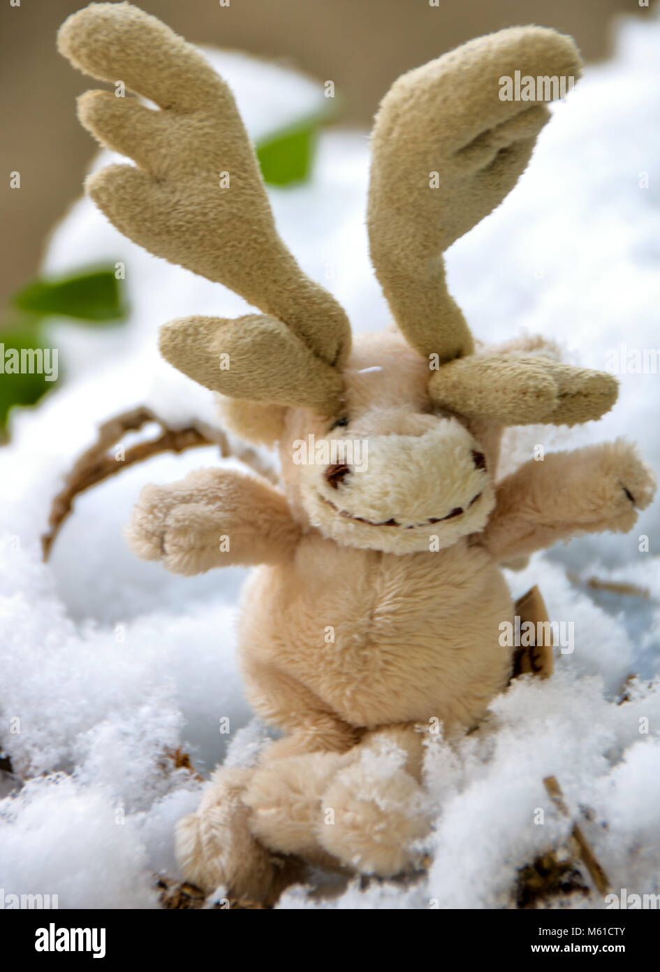 smiling stuffed reindeer in snow Stock Photo - Alamy