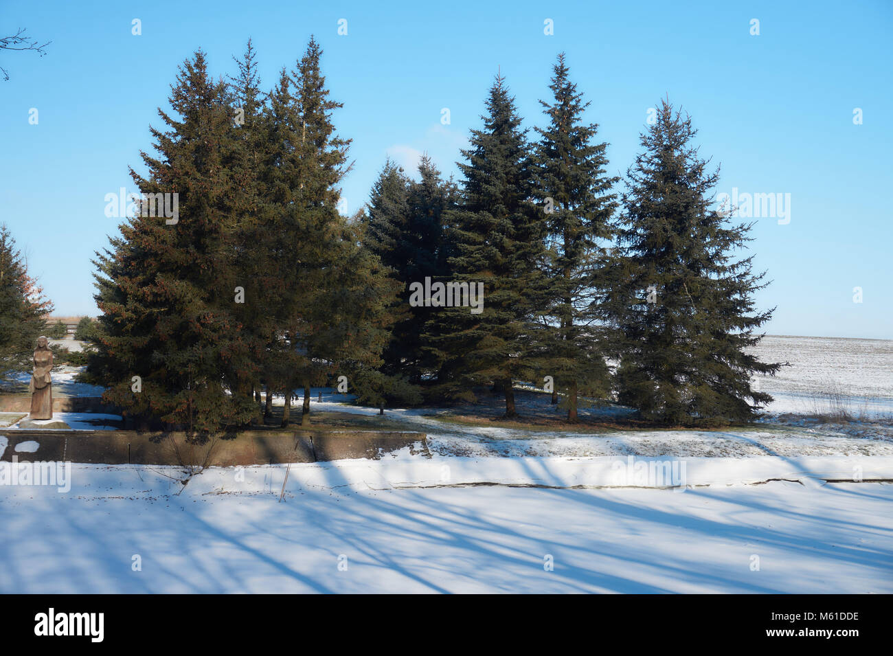 Ice and snow covered river, trees, rushes, fallen fields and blue sky ...