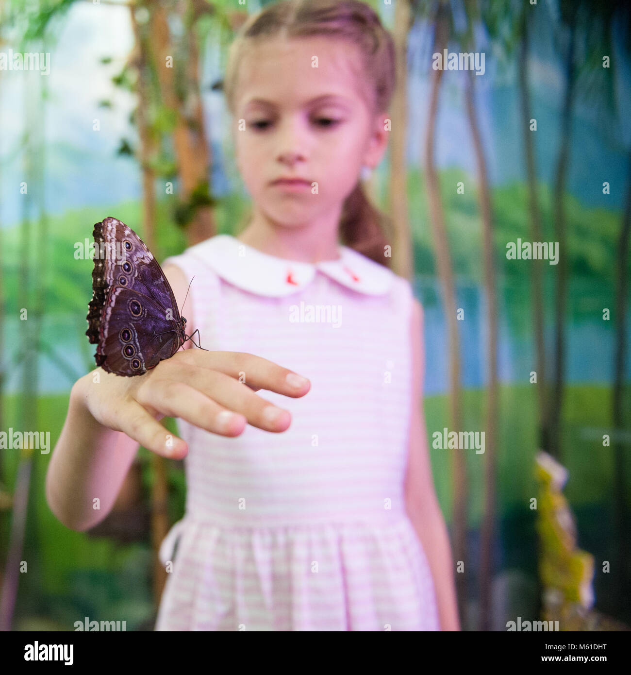 beautiful little girl holding big butterfly on her hand Stock Photo - Alamy