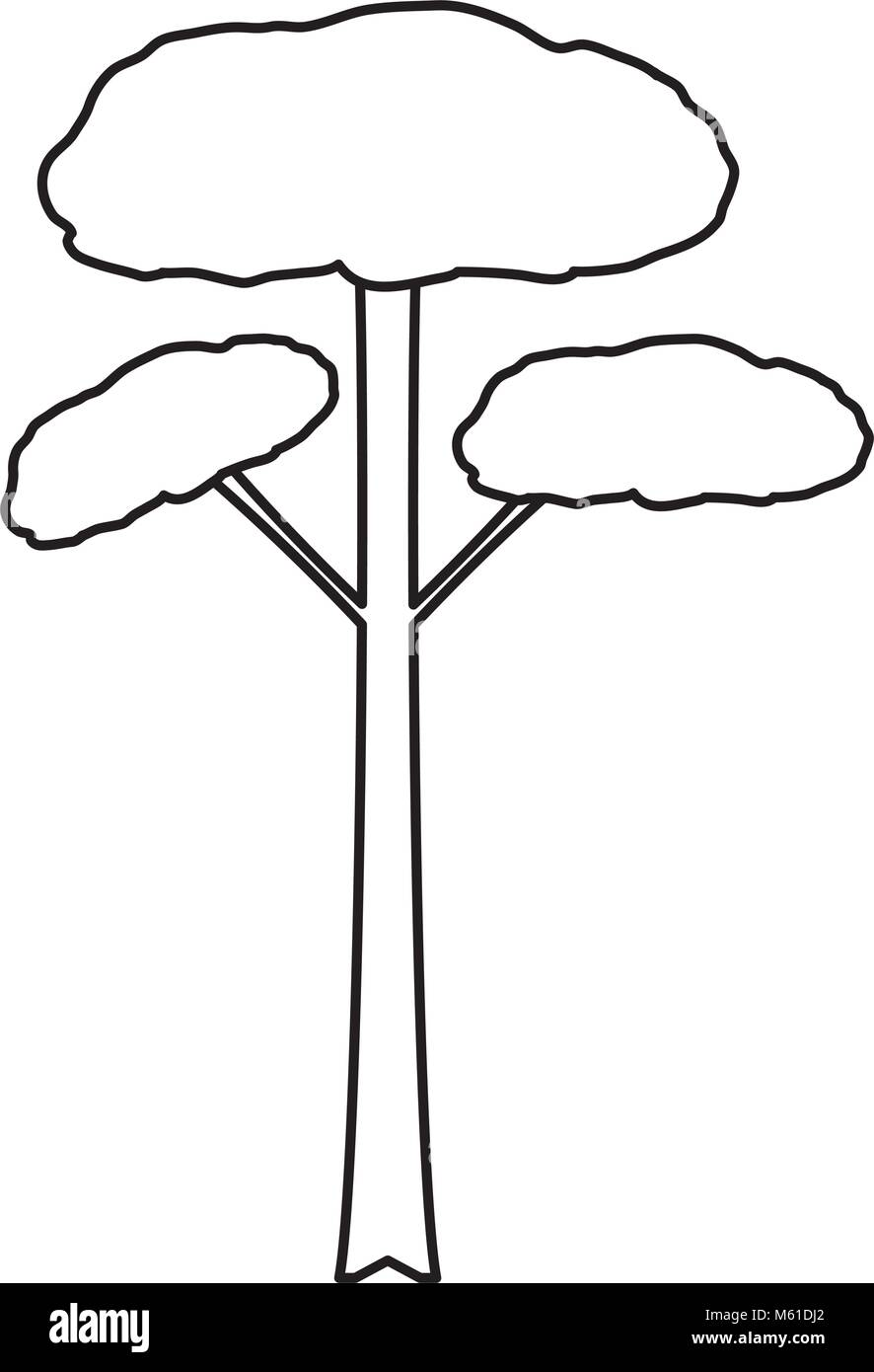 tall tree icon over white background, vector illustration Stock Vector ...