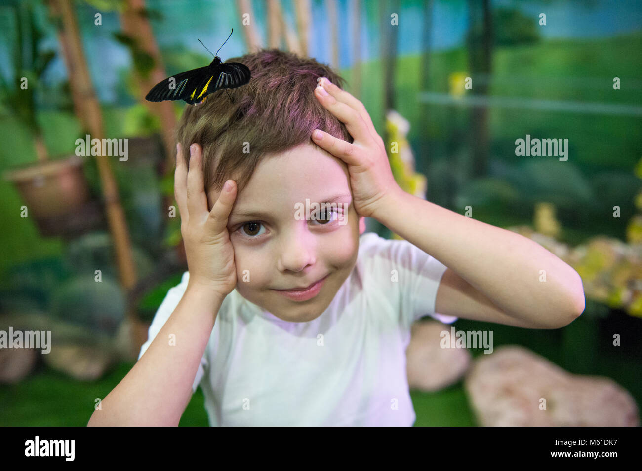 funny surprised little kid with big butterfly on his head Stock Photo ...