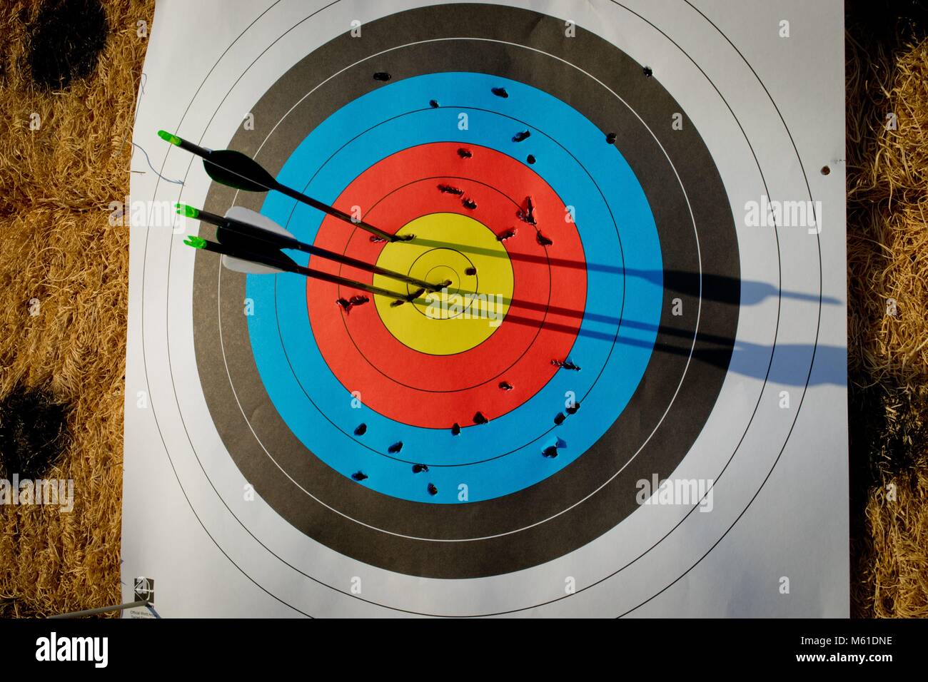 Field archery hi-res stock photography and images - Alamy