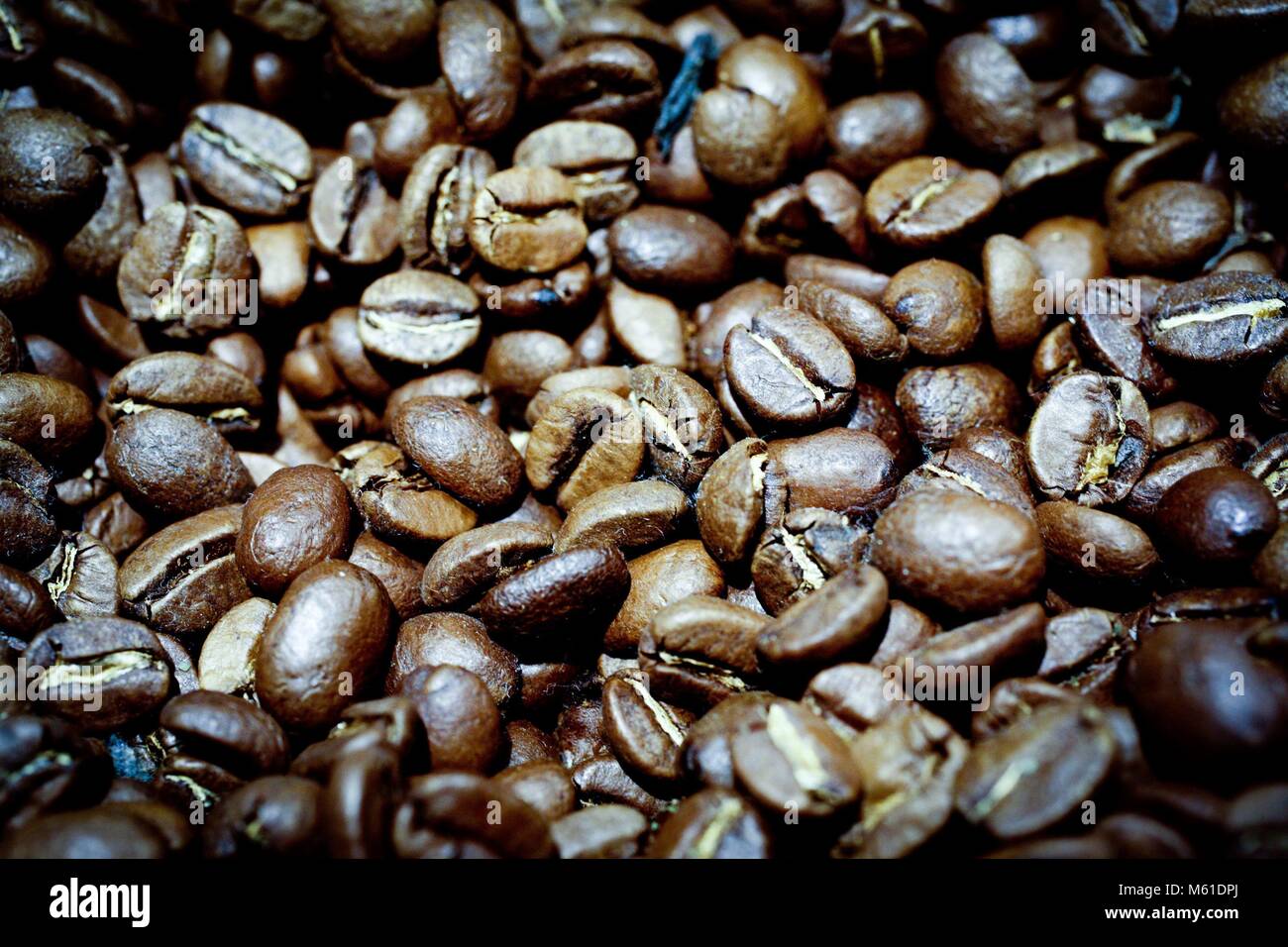 TATICO Espresso coffee beans, in October 2006. | usage worldwide Stock ...