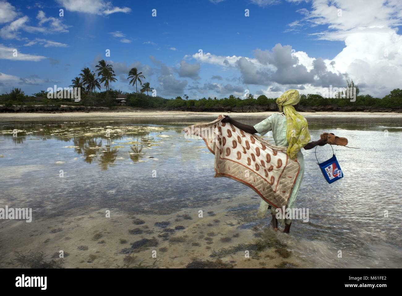 Picking Up Beach Shells High Resolution Stock Photography and Images ...