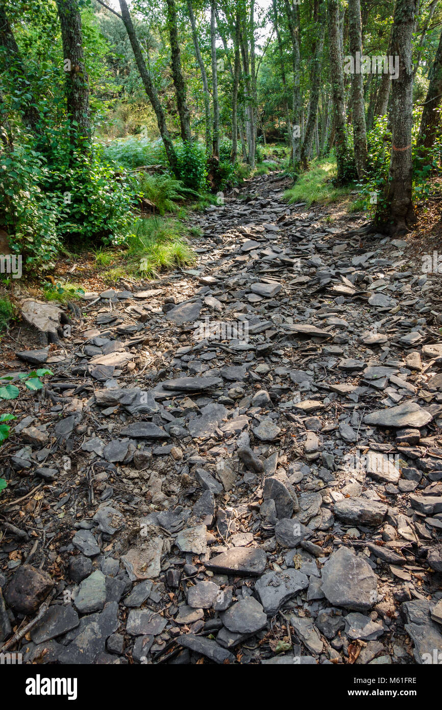 Slate stones hi-res stock photography and images - Alamy
