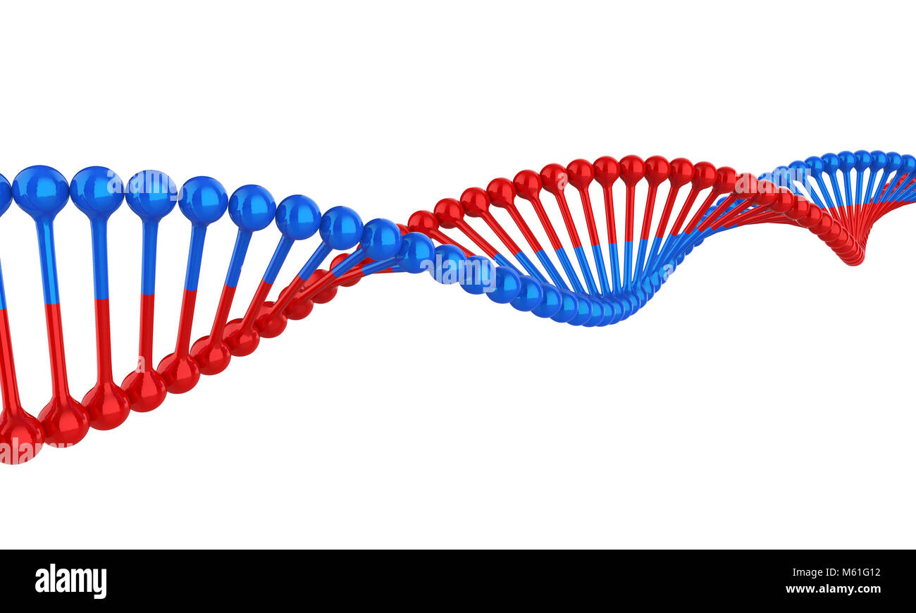 Dna cell chromosome illustration hi-res stock photography and images ...