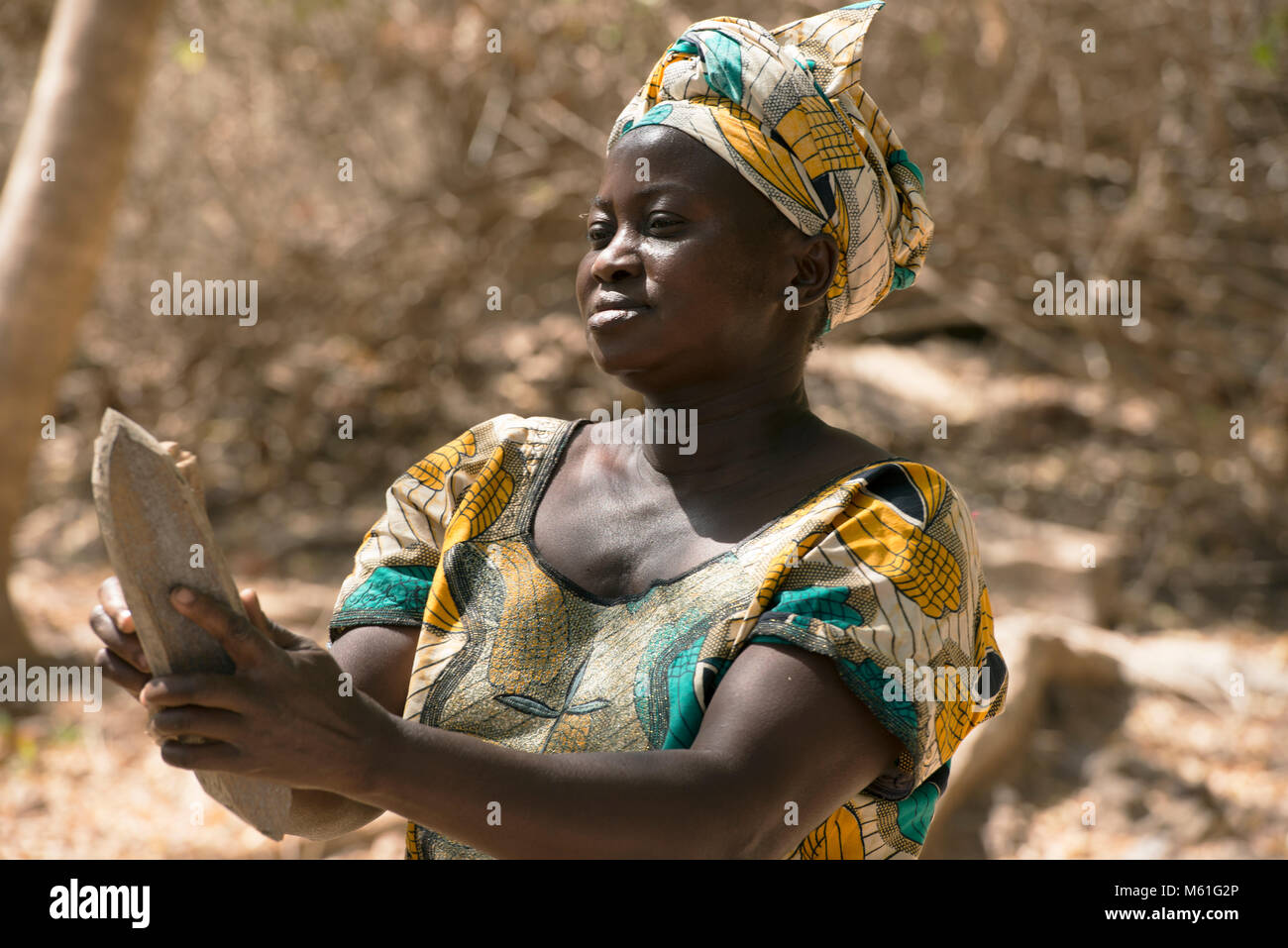An indigenous, tribal Mandinka woman playing a traditional instrument ...