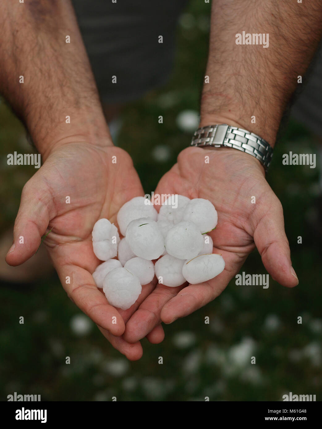 Hailstorm damage hi-res stock photography and images - Alamy