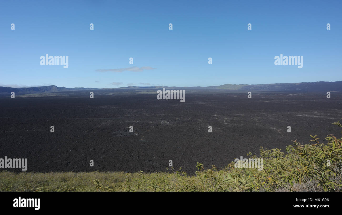 Part of the thirty mile rim of Sierra Negra Volcano and the lava ...