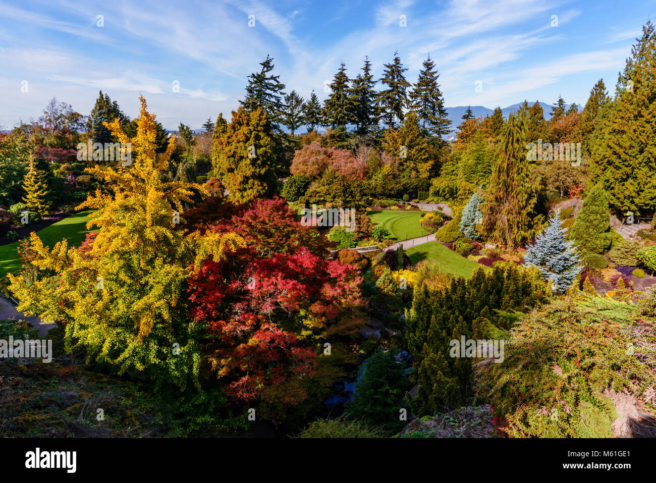 An arboretum with colorful trees and bushes, a green lawn, a bridge, a ...