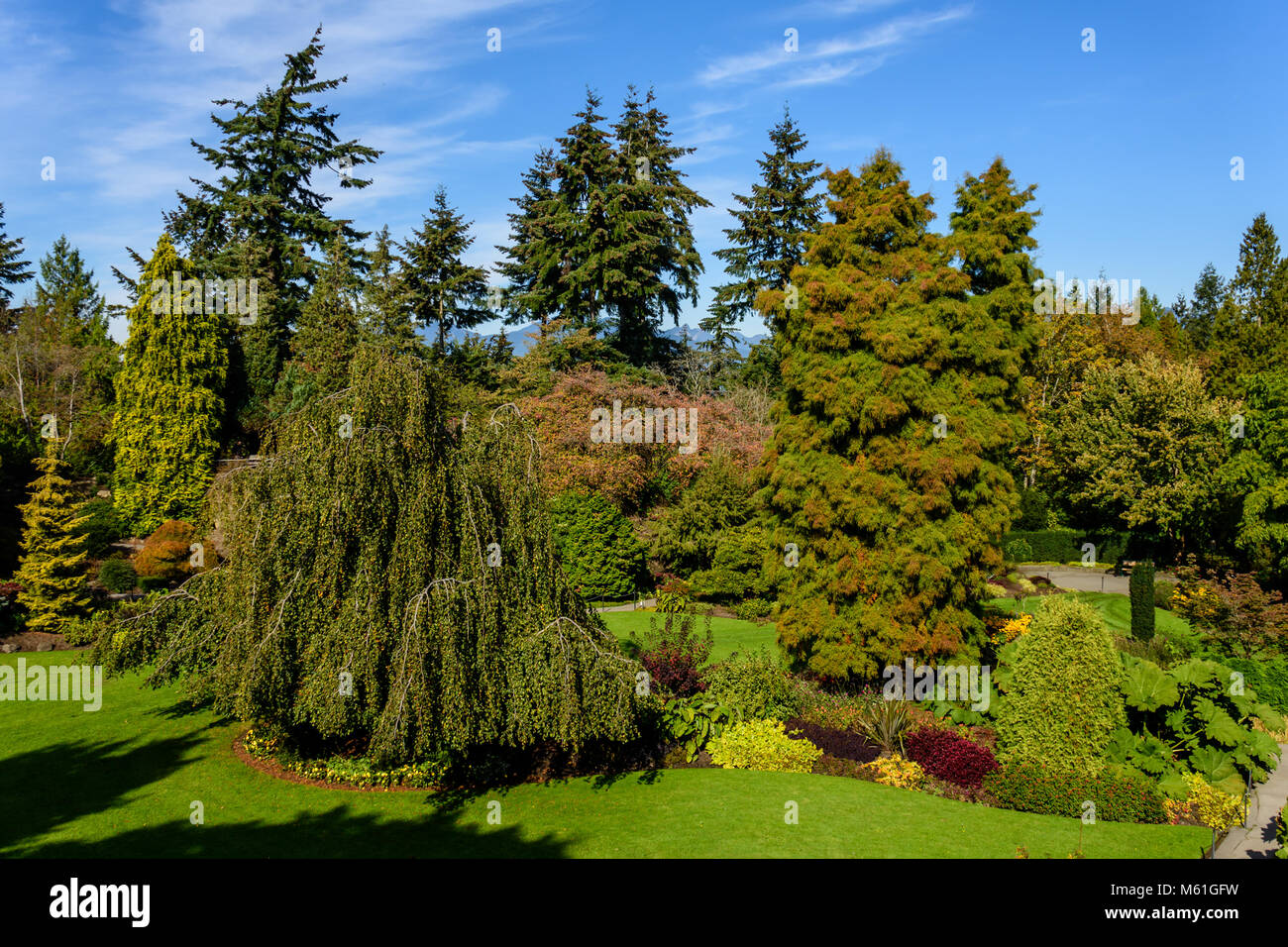 Arboretum with colorful trees and bushes, green lawn and blue sky on a ...