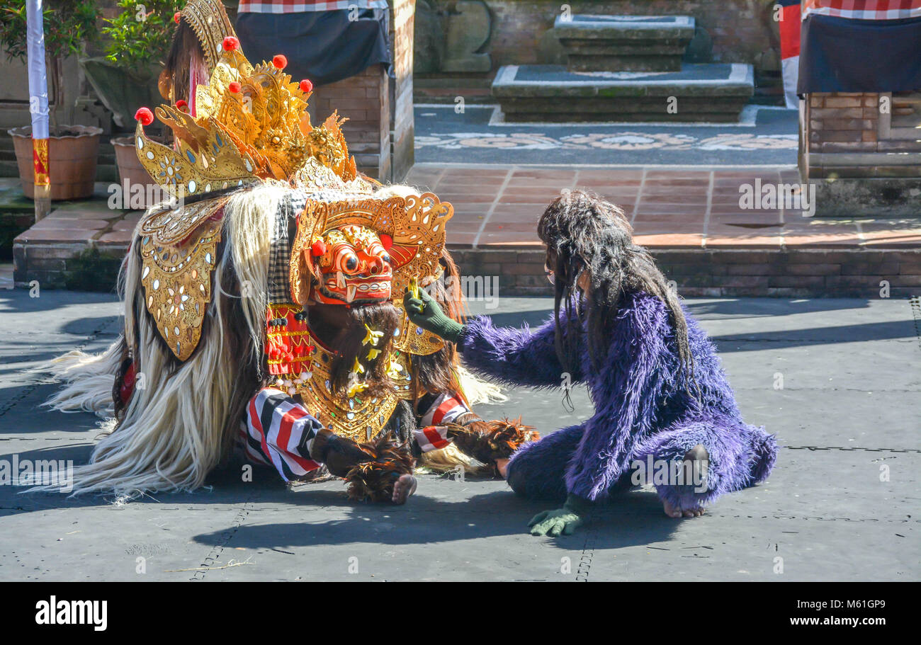 Balinese locals performing Barong, a mythical lion-like creature at a ...