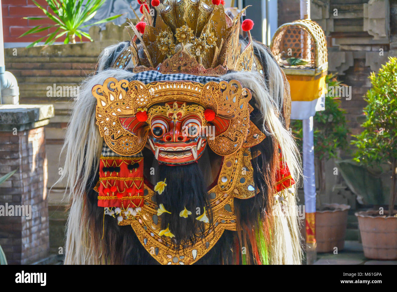 Balinese locals performing Barong, a mythical lion-like creature at a ...