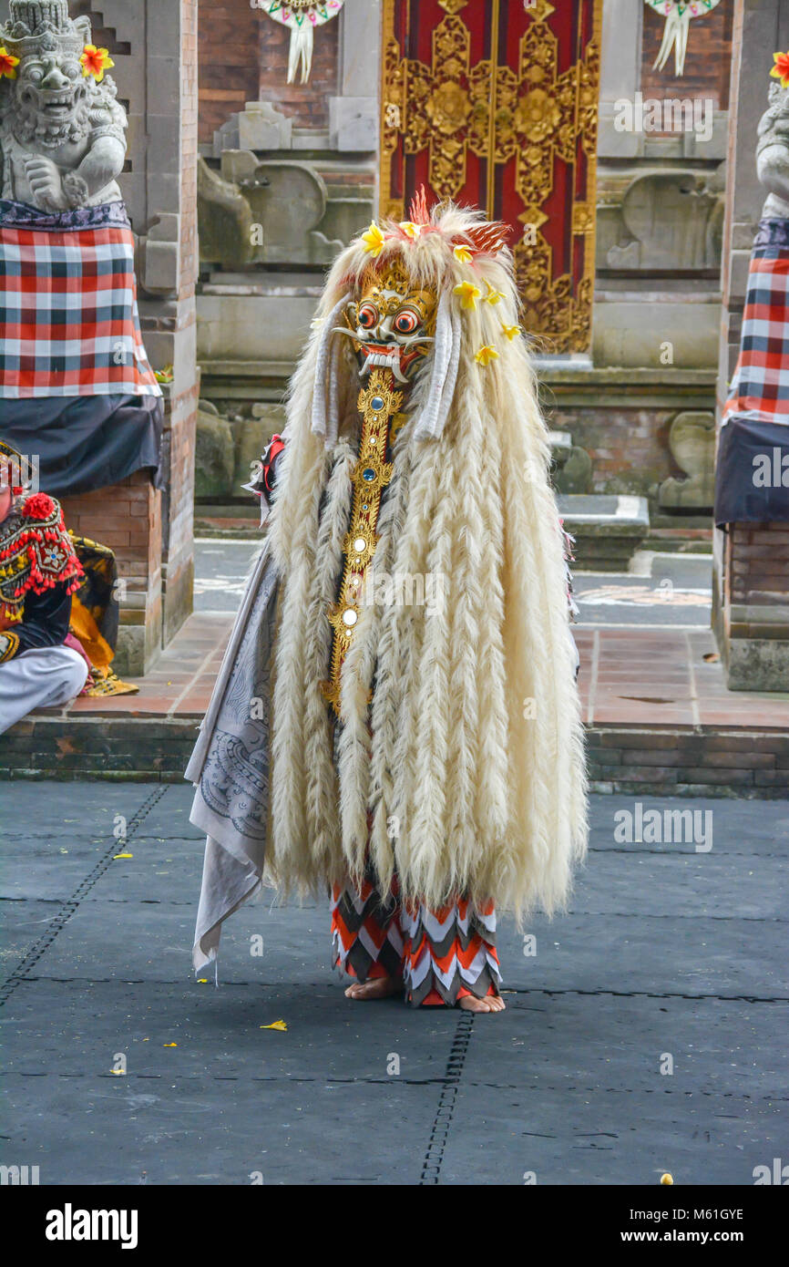 Balinese locals performing Barong, a mythical lion-like creature at a ...