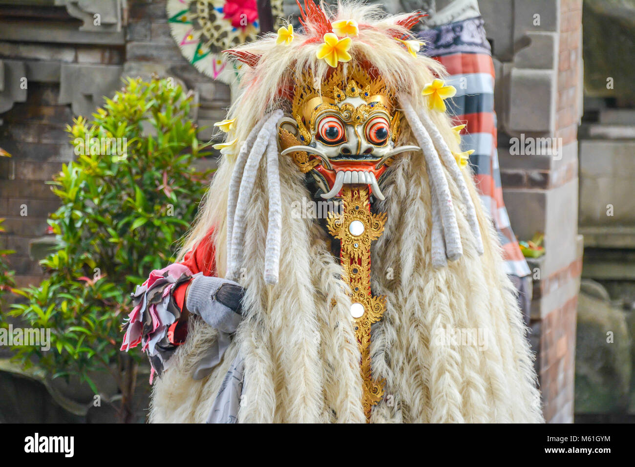 Balinese locals performing Barong, a mythical lion-like creature at a ...