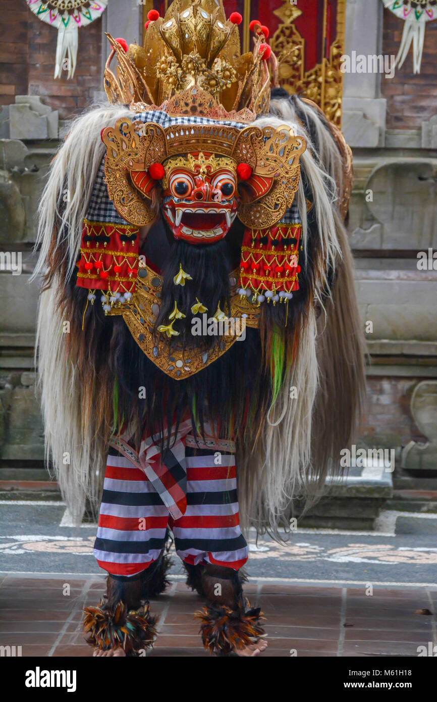 Balinese locals performing Barong, a mythical lion-like creature at a ...