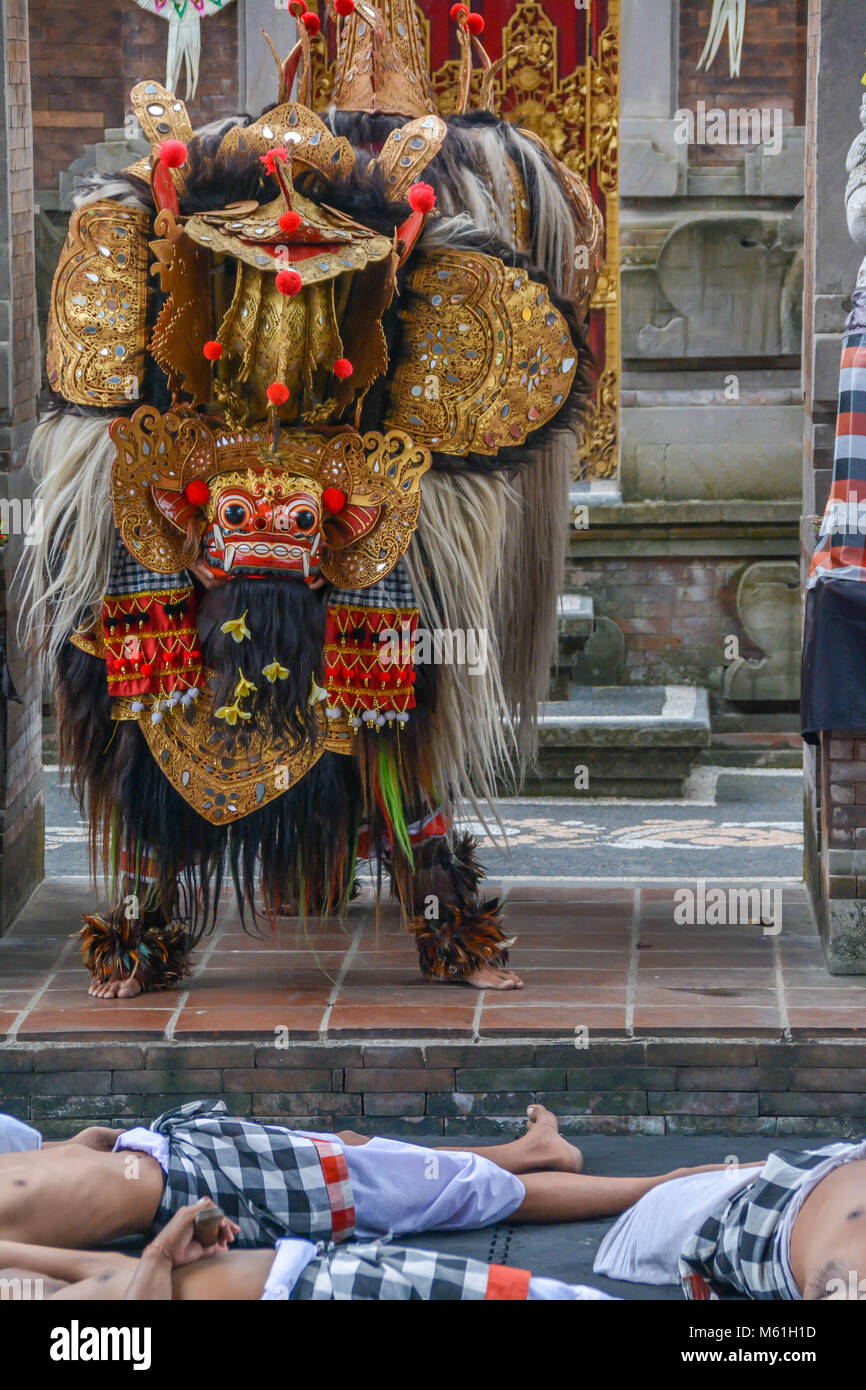 Balinese locals performing Barong, a mythical lion-like creature at a ...