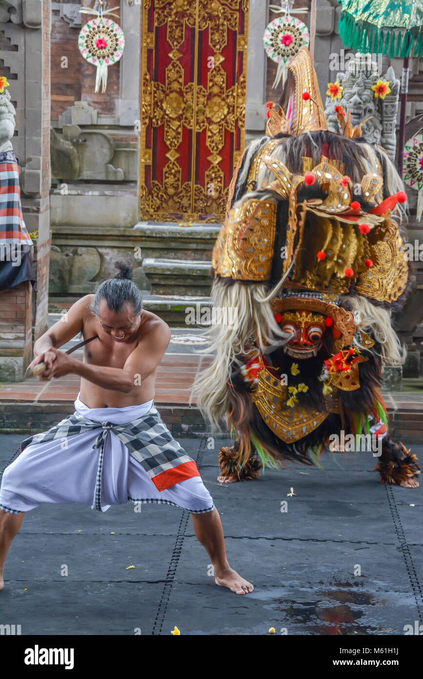 Balinese locals performing Barong, a mythical lion-like creature at a ...