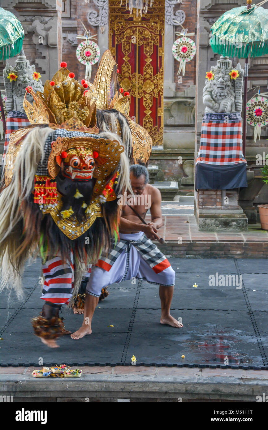 Balinese locals performing Barong, a mythical lion-like creature at a ...