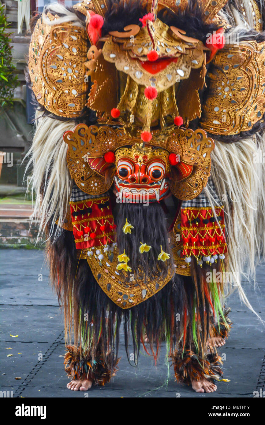 Balinese locals performing Barong, a mythical lion-like creature at a ...