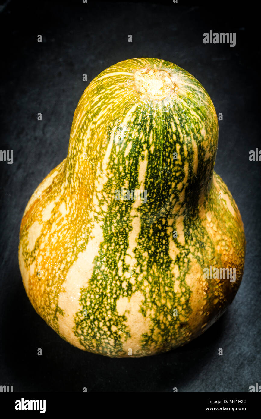Butternut squash. Florianopolis, Santa Catarina, Brazil Stock Photo - Alamy