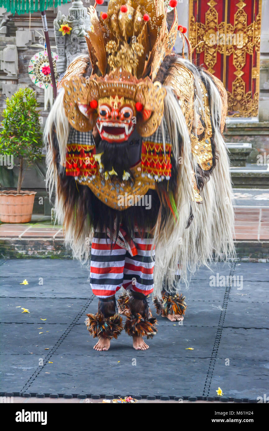 Balinese locals performing Barong, a mythical lion-like creature at a ...