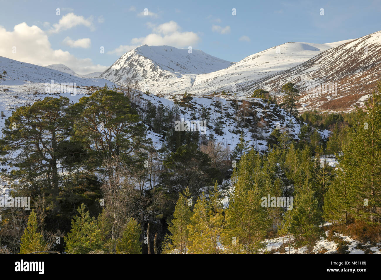 For about 15 miles 24 km to the north west hi-res stock photography and ...