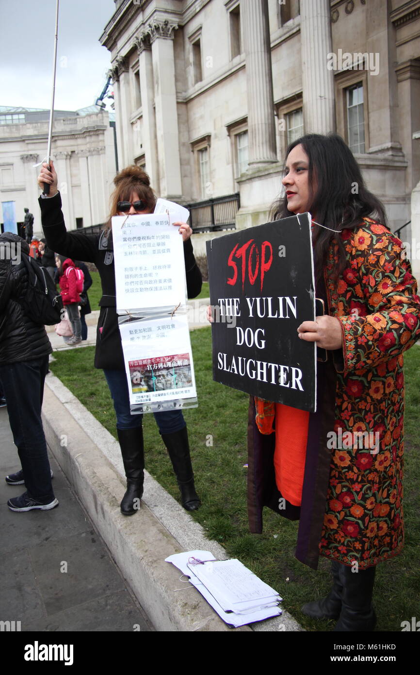 yulin dog festival protestors Chinese New Year, year of the dog London ...