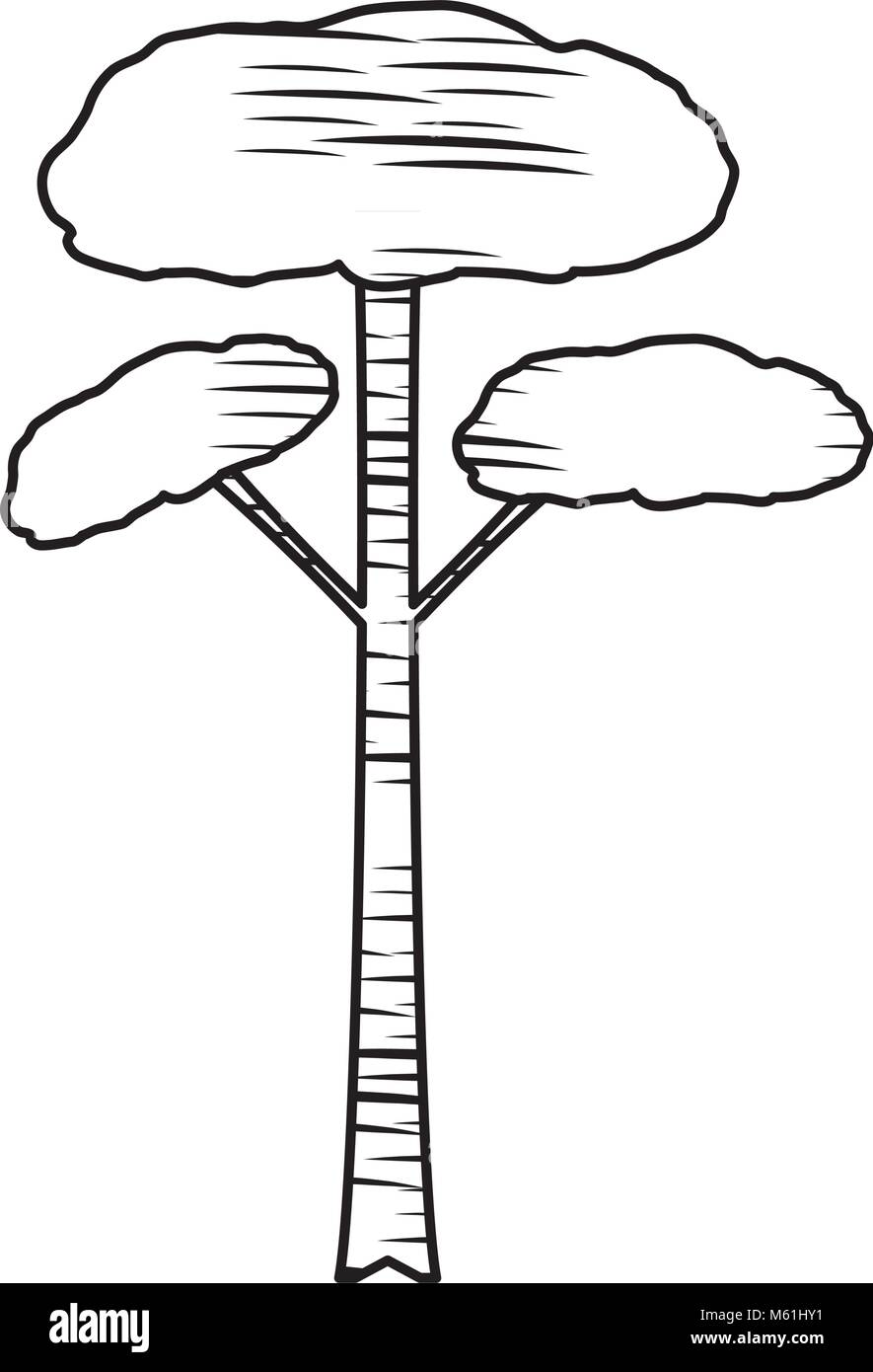 Tall oak Stock Vector Images - Alamy