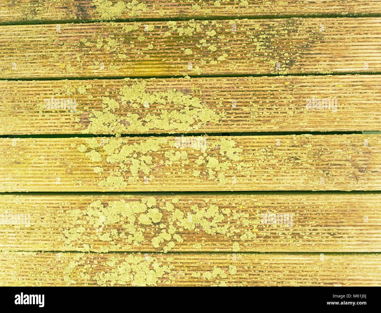 The sill wet hard wood board with weathering resists surface. Wooden ...