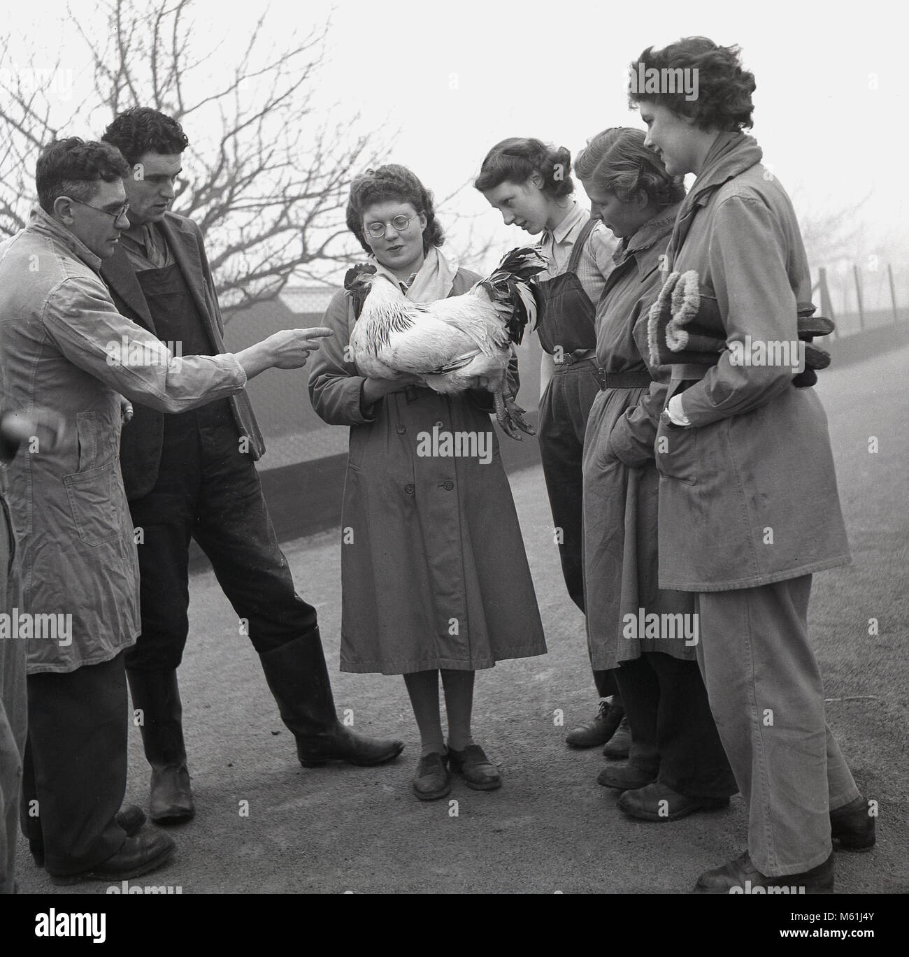1950s, historical picture, students at an agricultural or farming ...