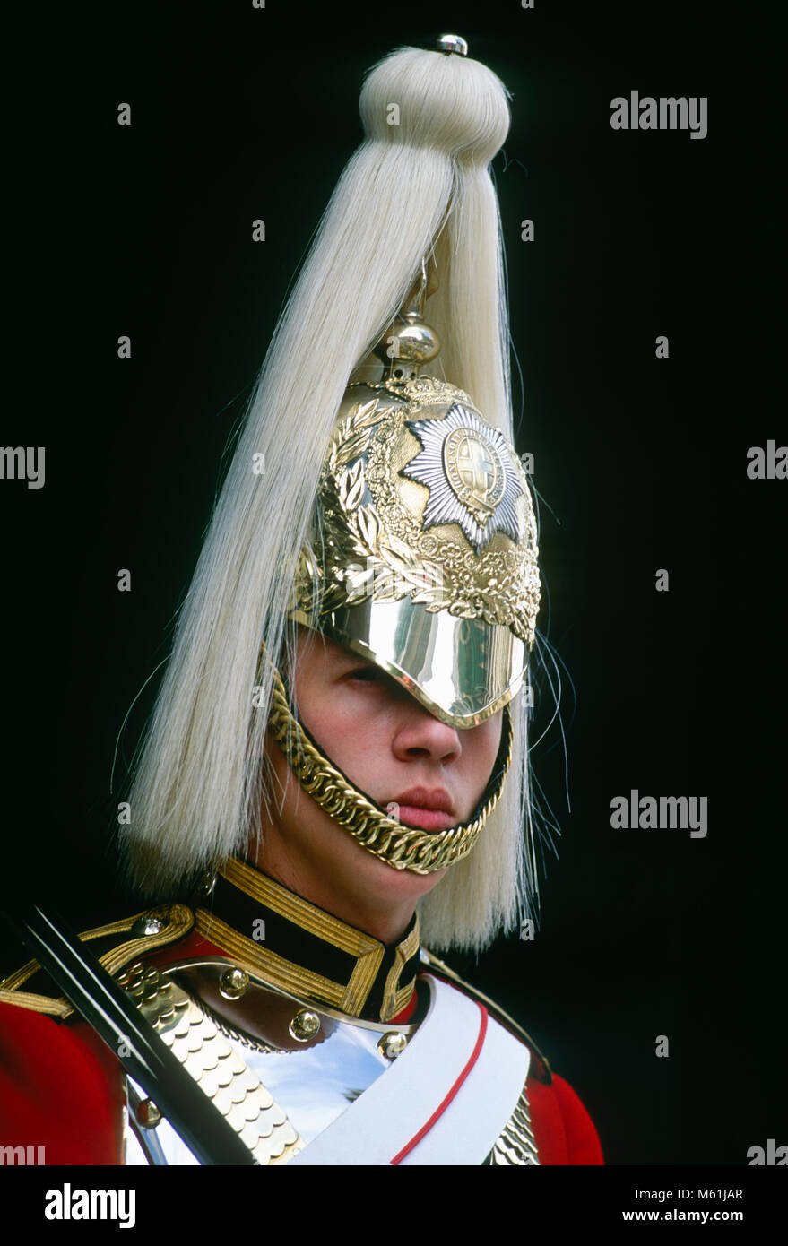 Lifeguard regiment hi-res stock photography and images - Alamy