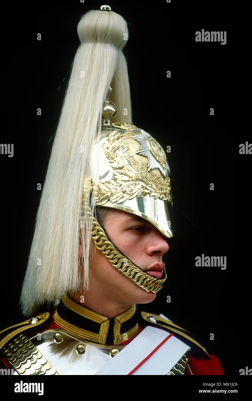 Lifeguard regiment hi-res stock photography and images - Alamy