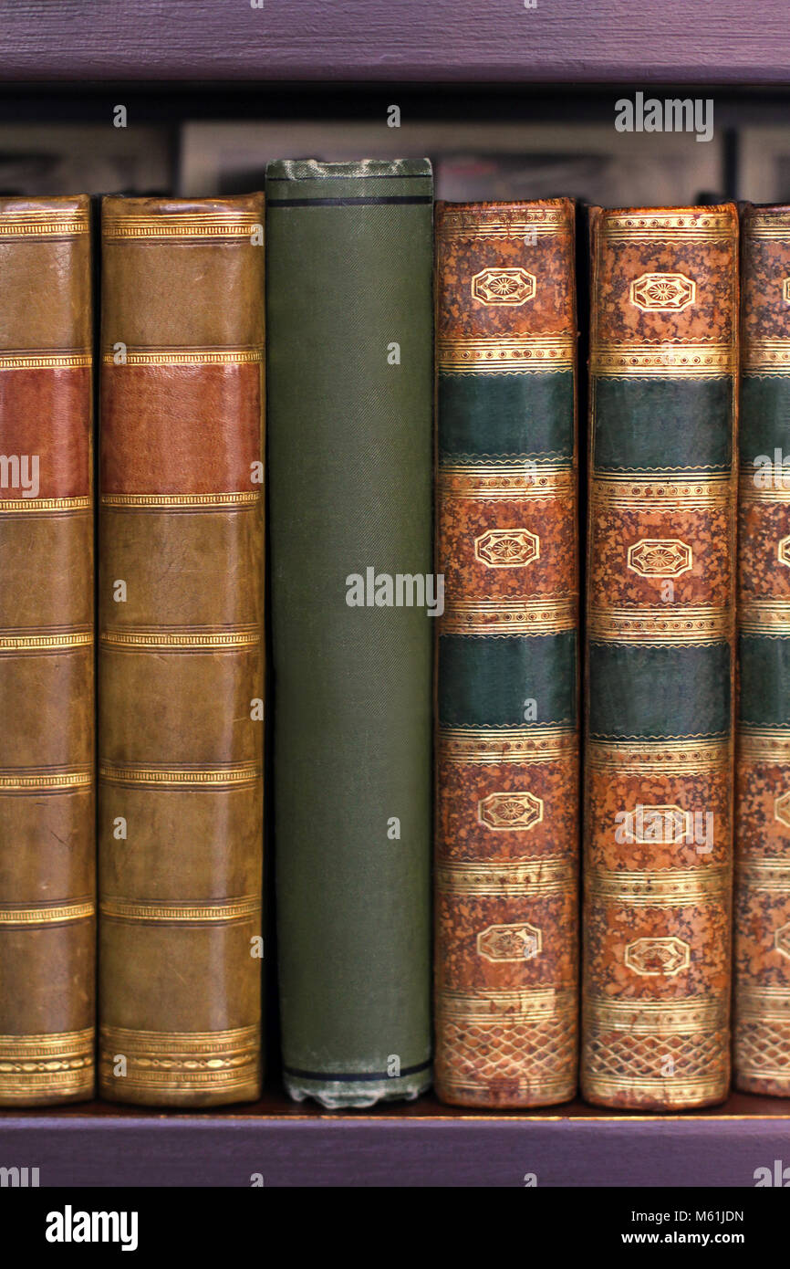 Old books in leather binding on wooden shelf Stock Photo - Alamy