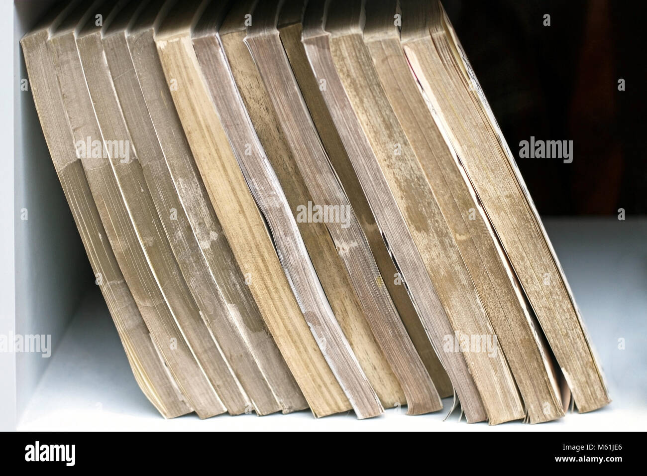Blank grunge books in a row standing on a shelf Stock Photo - Alamy