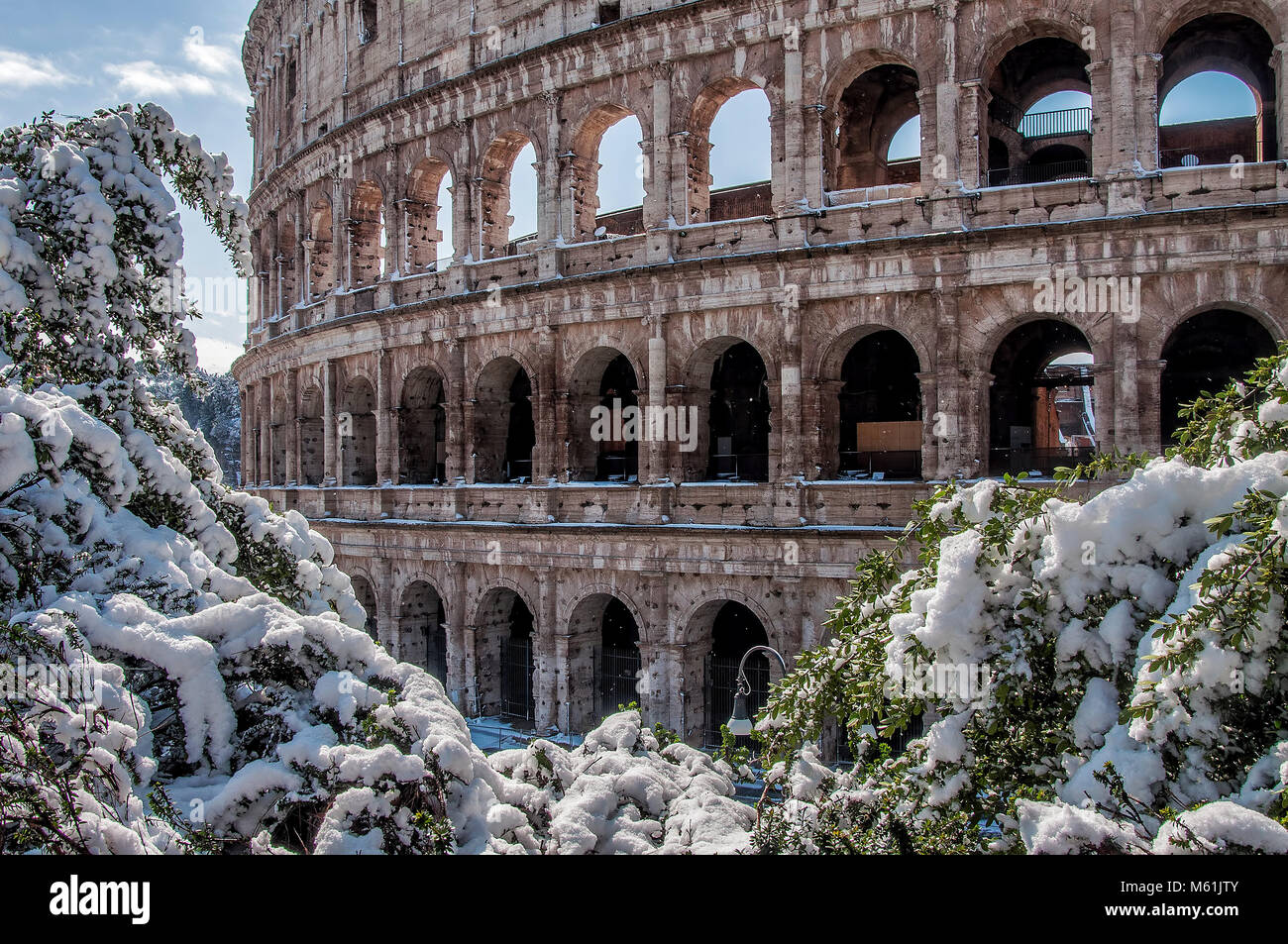 Colosseum and trees hi-res stock photography and images - Alamy