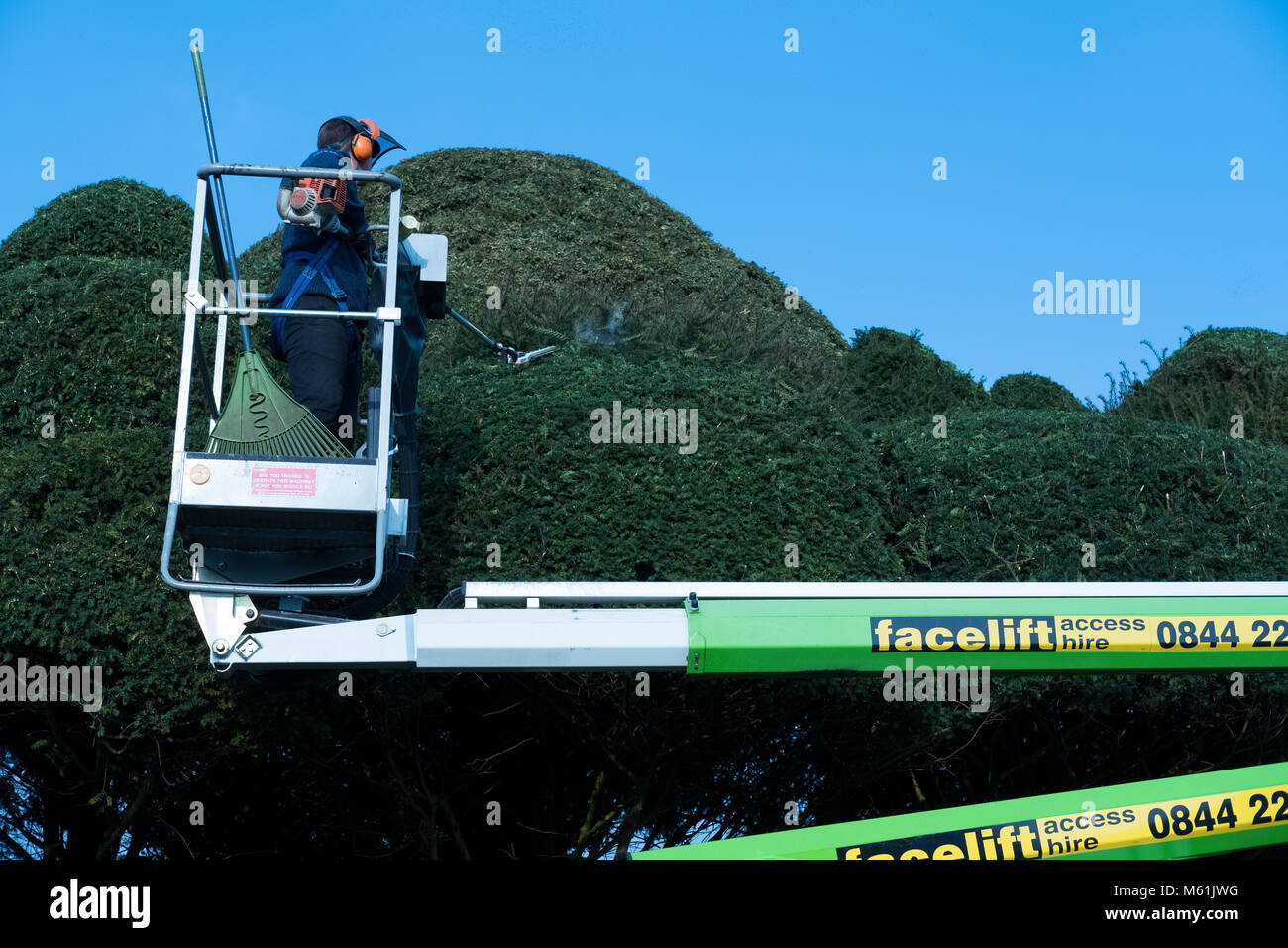 Green cherry picker hi-res stock photography and images - Alamy