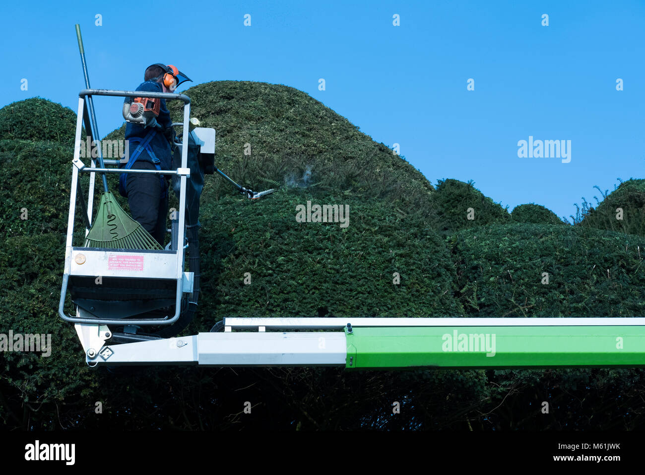 Green cherry picker hi-res stock photography and images - Alamy