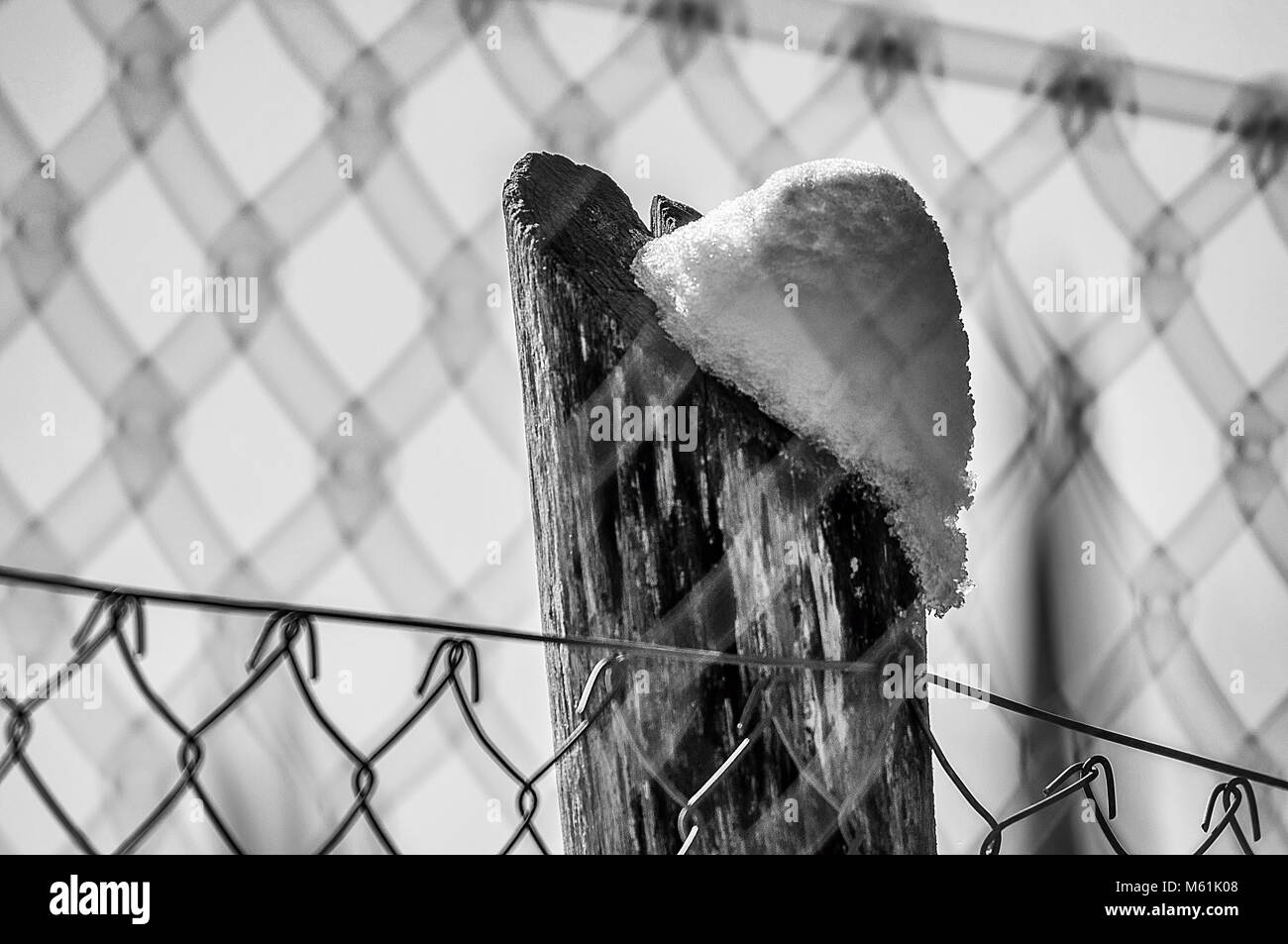 Rome, Italy. 26th February, 2018. Snow in Rome, wire mesh, wooden pole ...