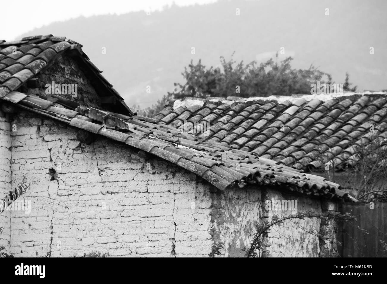 Xelaju hi-res stock photography and images - Alamy