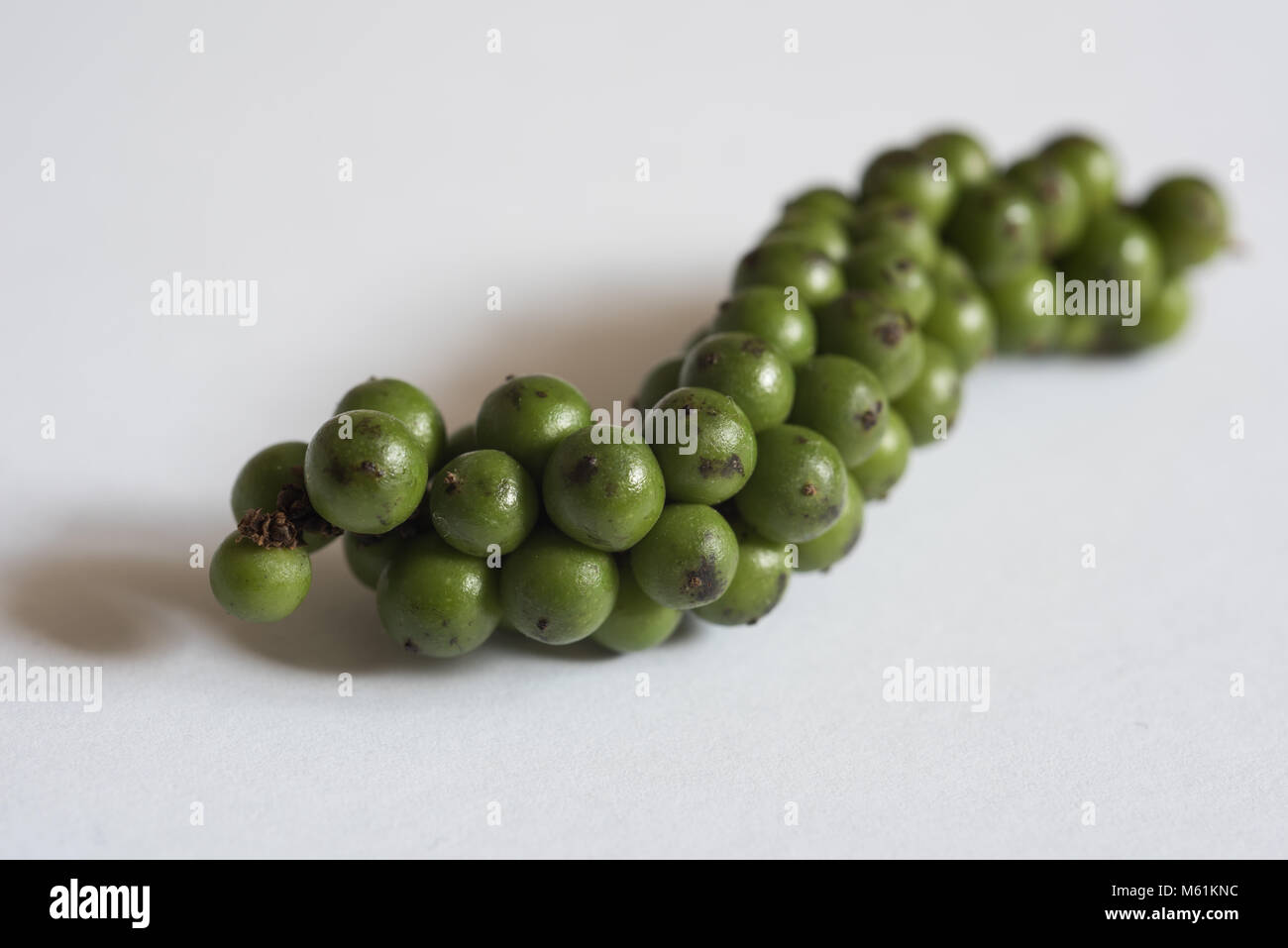 green fresh peppercorns Stock Photo - Alamy