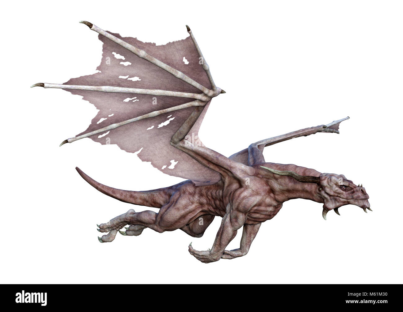 3D rendering of a fantasy vampire dragon isolated on white background ...