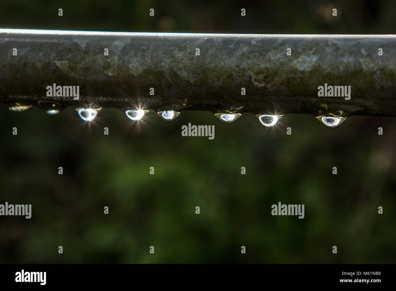 LIne of rain droplets against sunlight Stock Photo - Alamy