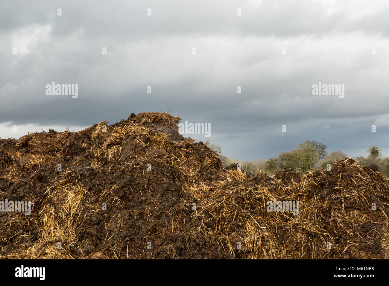 Pile of horse manure hi-res stock photography and images - Alamy