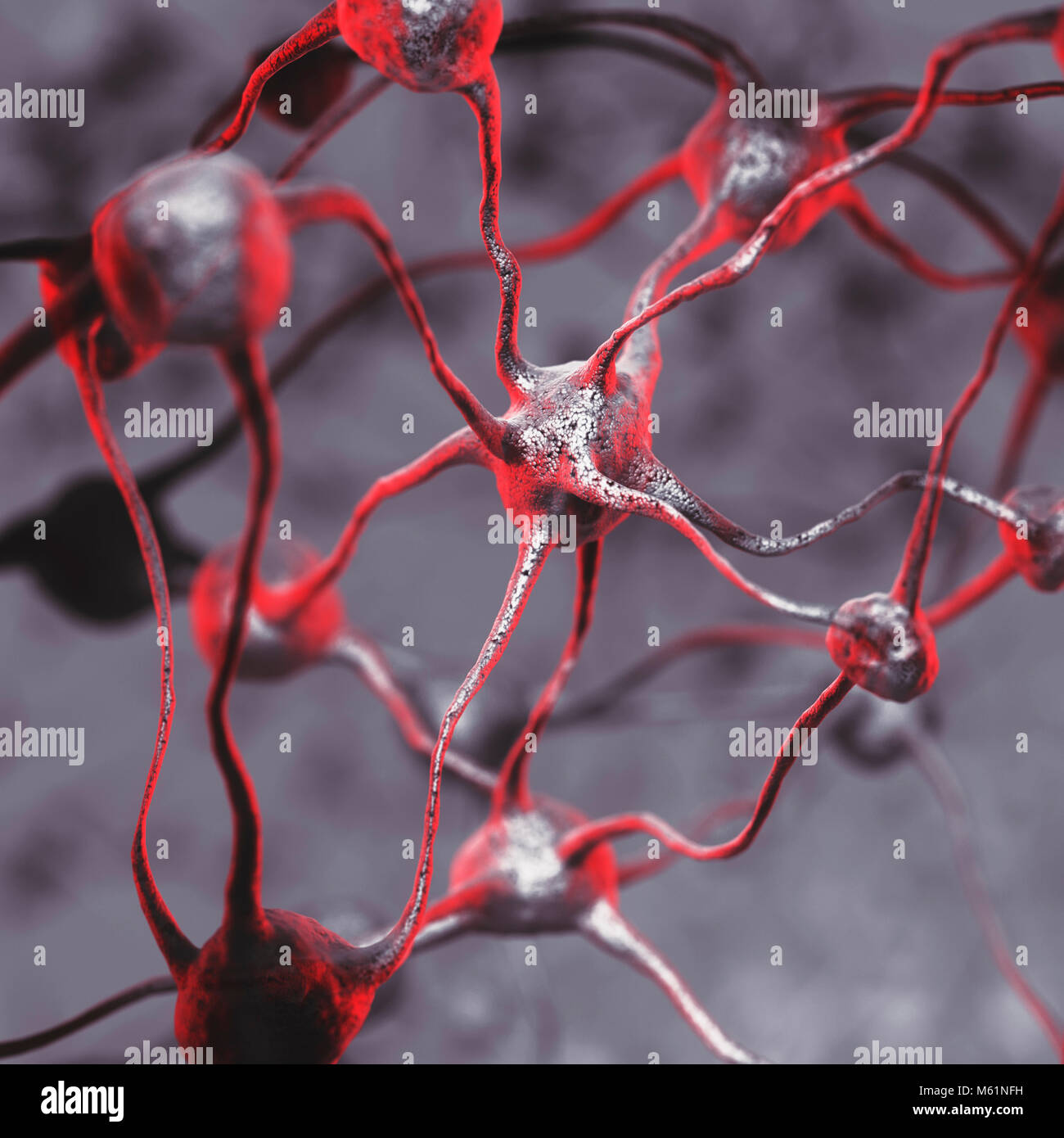 Neural structure hi-res stock photography and images - Alamy
