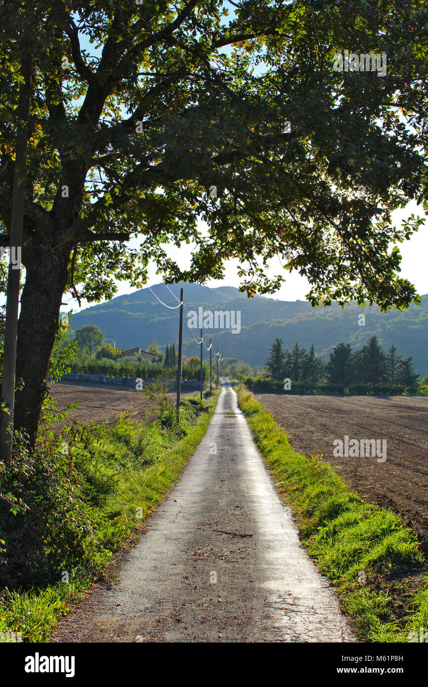 Far off tree hi-res stock photography and images - Alamy