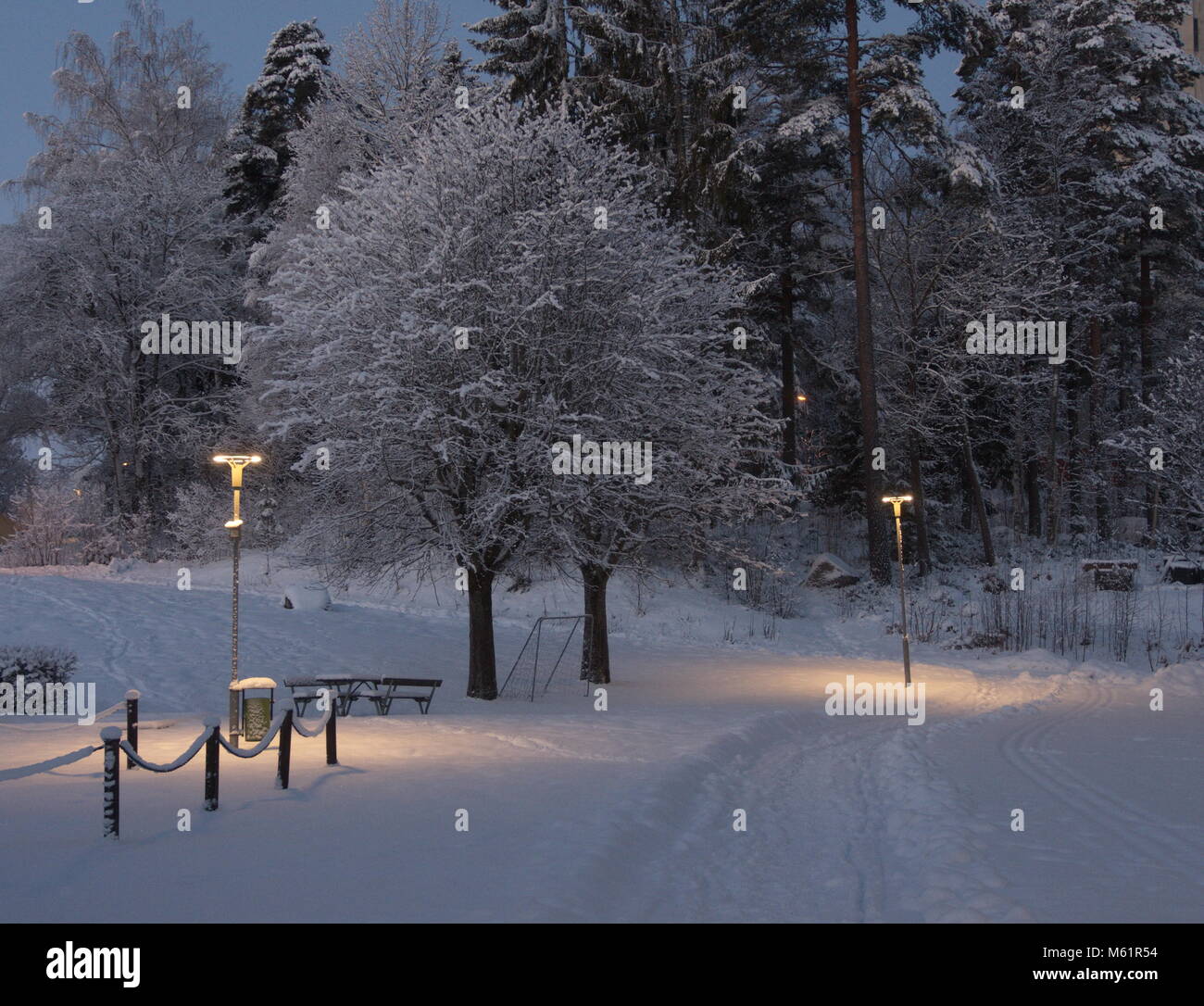 Pathway a snowy evening Stock Photo - Alamy