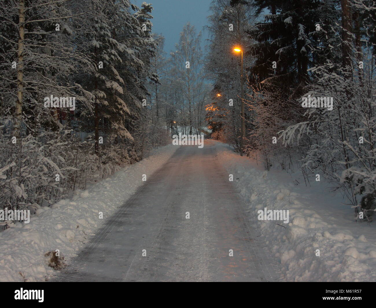Pathway a snowy evening Stock Photo - Alamy